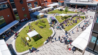 Study Guides - University of Wolverhampton
